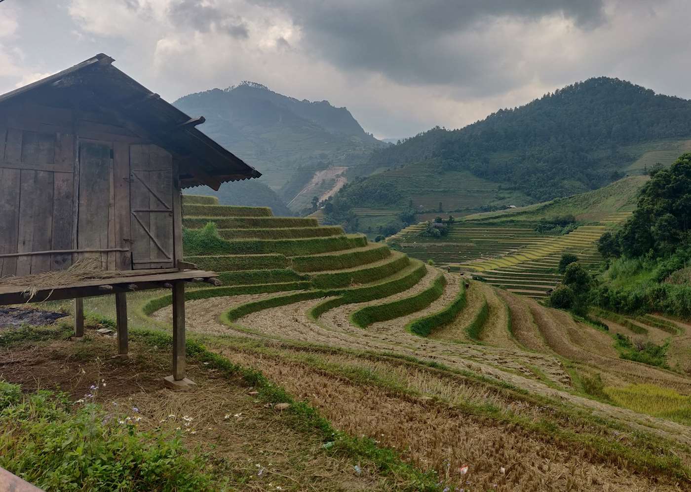 Visit Mu Cang Chai on a trip to Vietnam | Audley Travel US