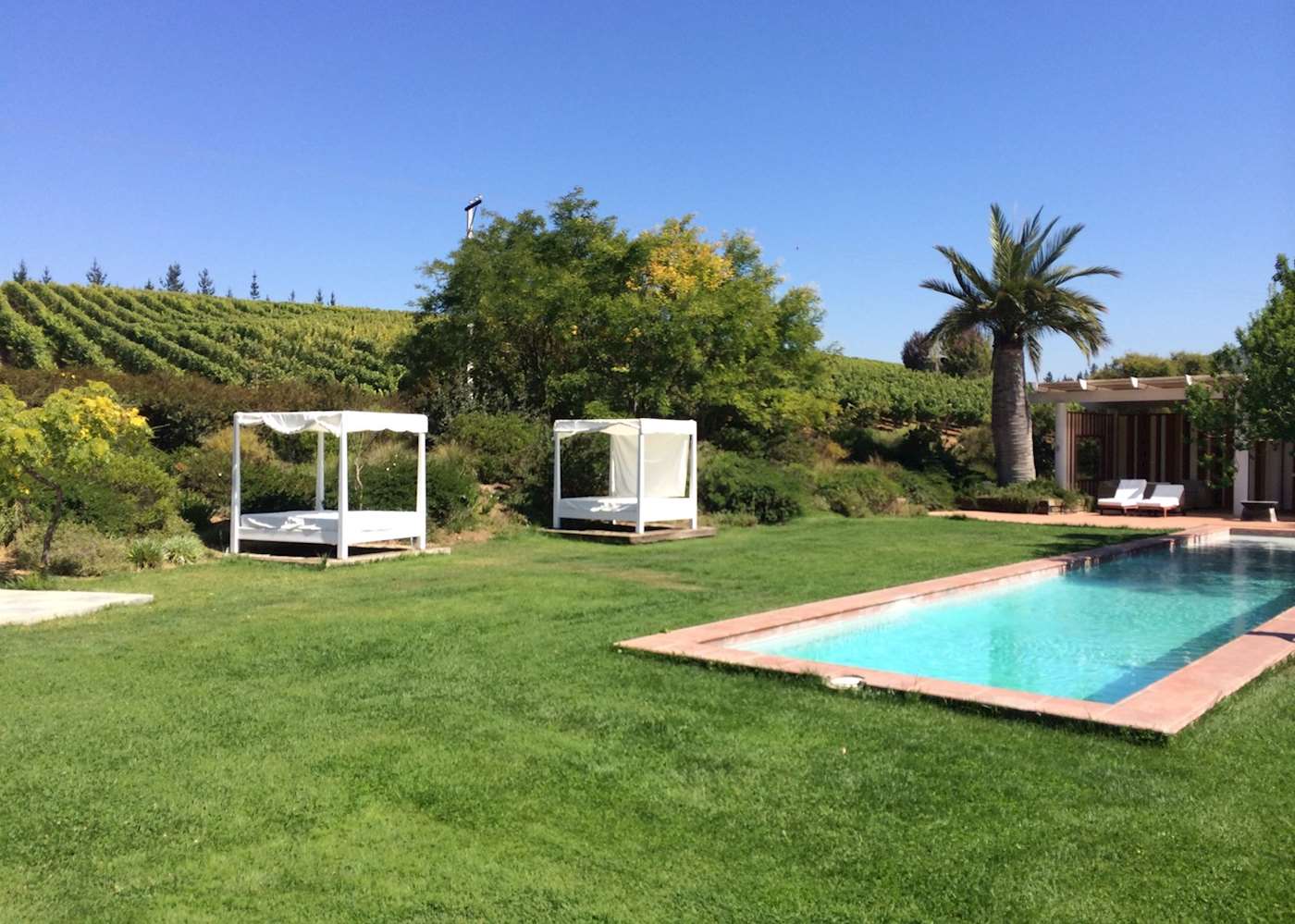 Casona Viña Matetic | Casablanca Valley | Audley Travel UK