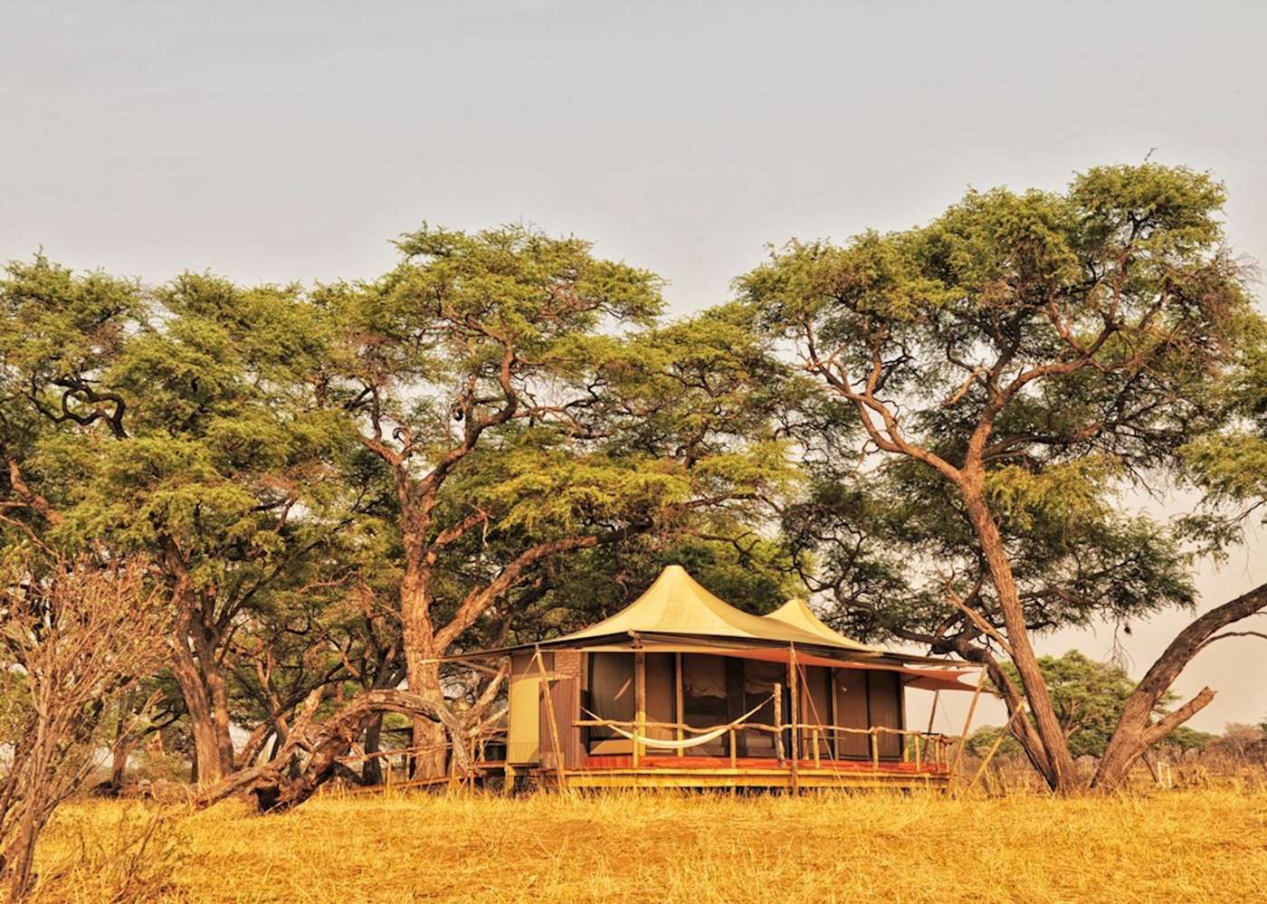 Somalisa Camp | Hotels in Hwange National Park | Audley Travel UK