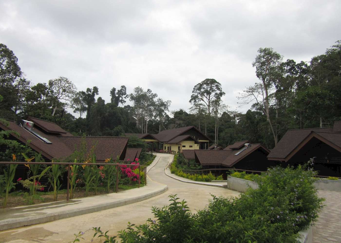 My Nature Resort | Hotels in Sepilok | Audley Travel UK