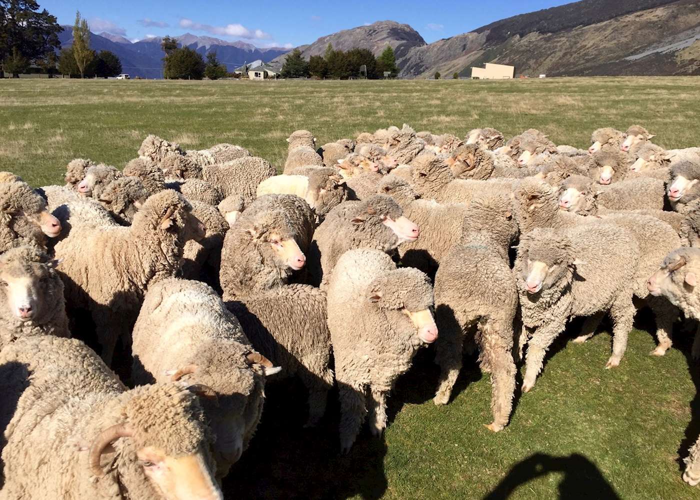 Wilderness Lodge | Audley Travel UK