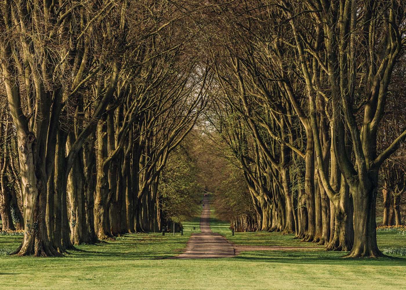 Lucknam Park | Hotels in England | Audley Travel US