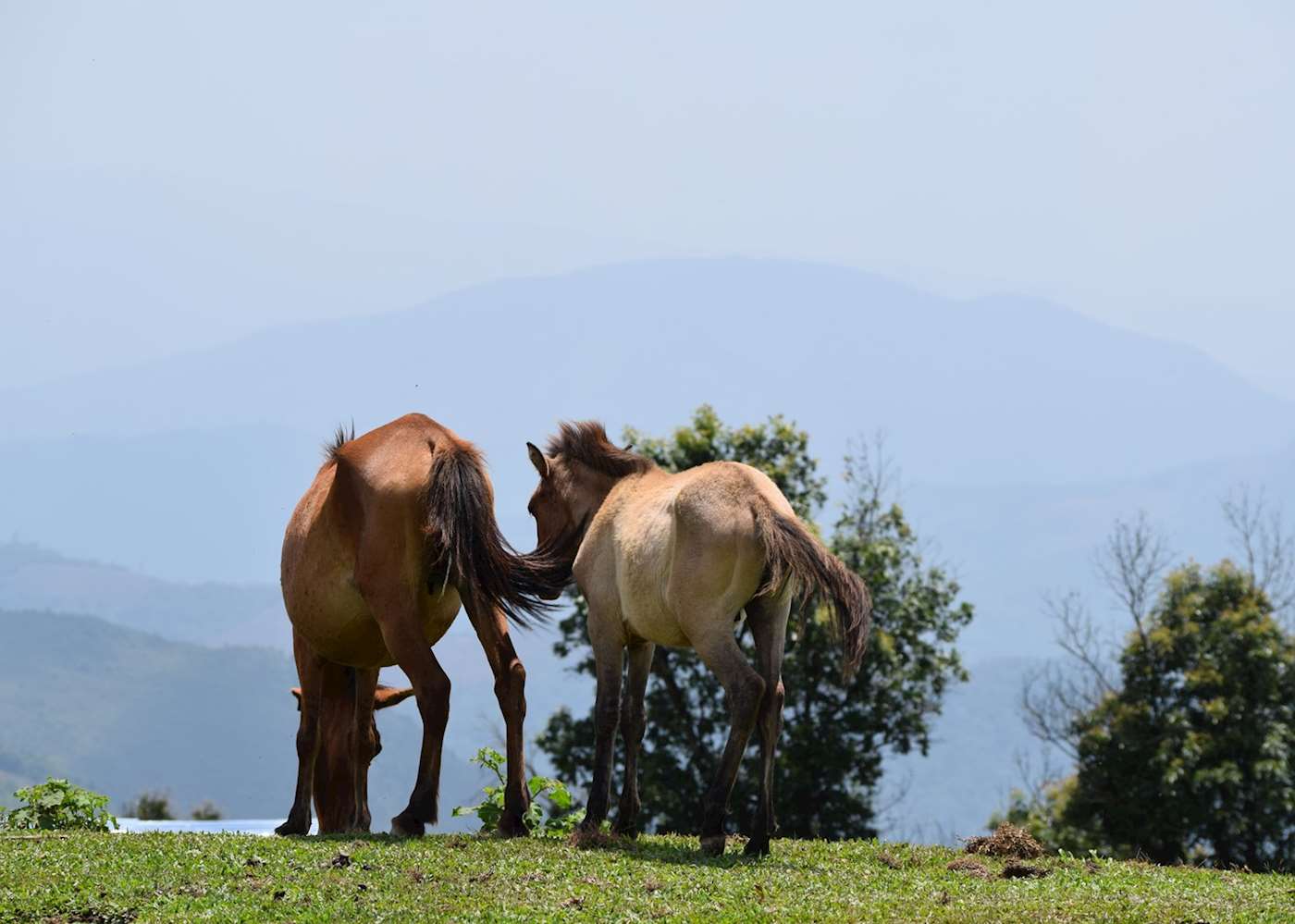 Visit Muang La, Laos | Tailor-Made Trips | Audley Travel UK