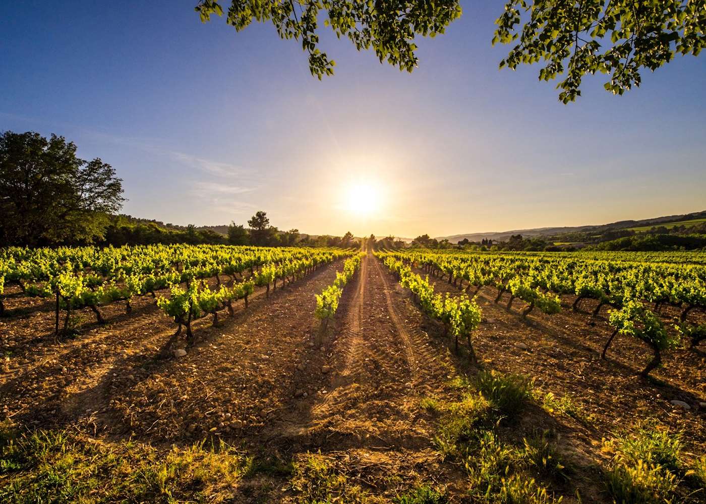 Visit Cava Wine Region, Spain | Tailor-Made Trips | Audley Travel UK