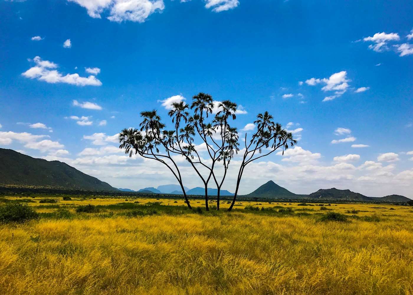 Visit Samburu National Reserve | Tailor-made Trips | Audley Travel UK
