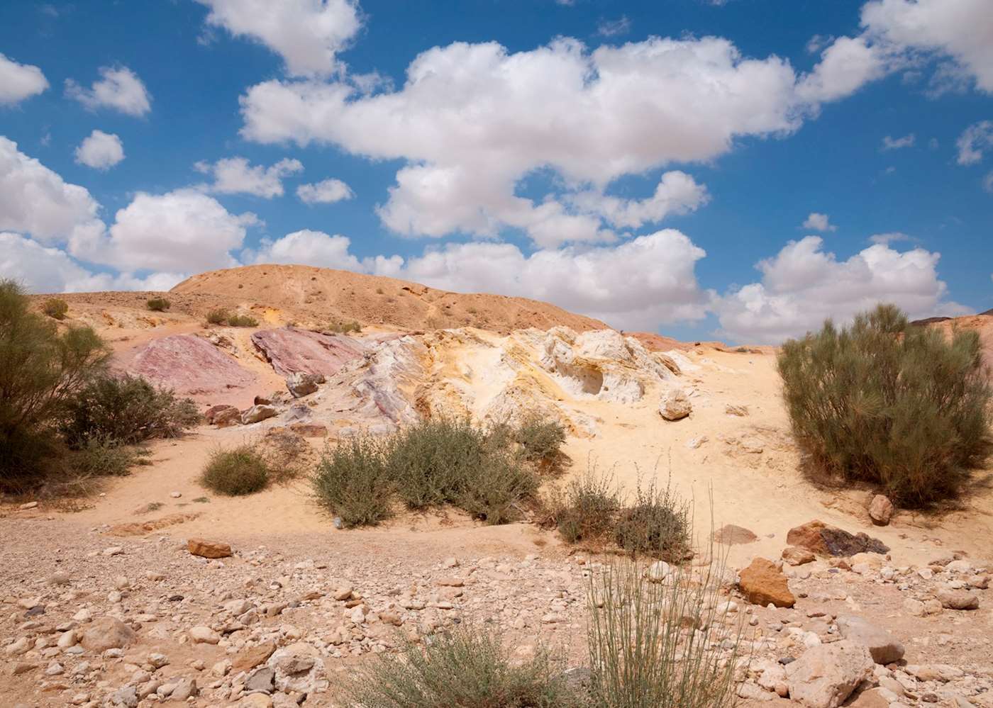 Visit Negev Desert on a trip to Israel and the West Bank | Audley Travel US