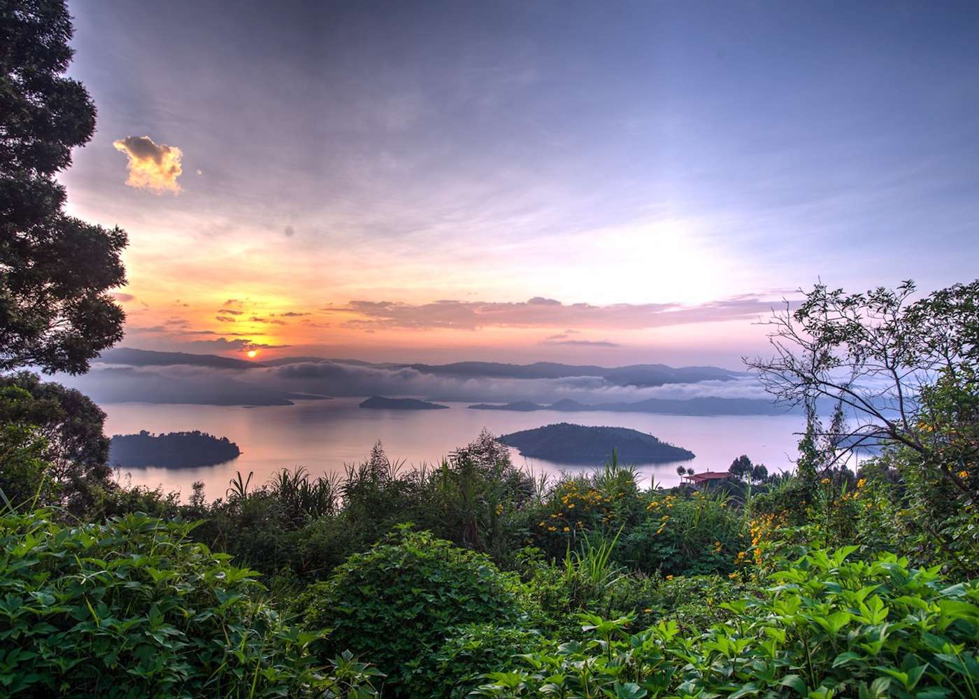 Virunga Lodge | Volcanoes National Park | Audley Travel US