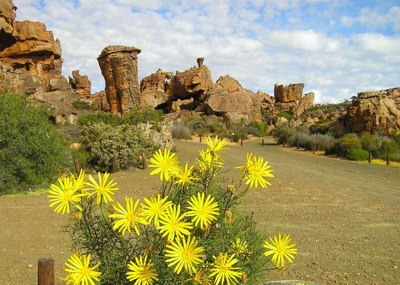 Visit The Cederberg Mountains, South Africa | Audley Travel UK