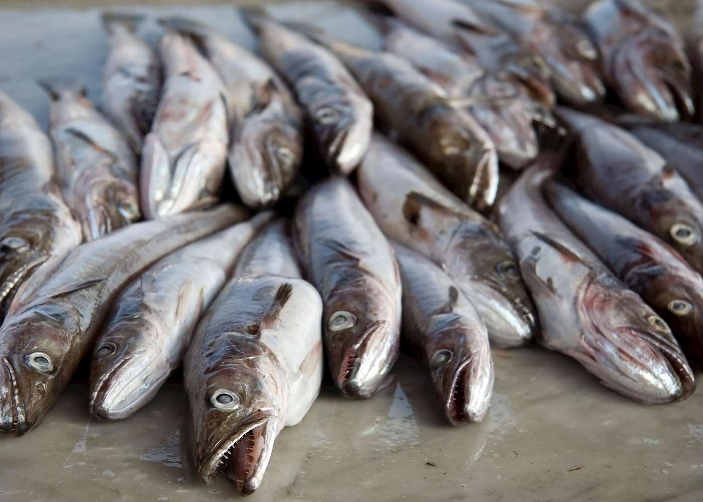 Visit Ischia, Italy | Tailor-Made Ischia Vacations | Audley Travel US