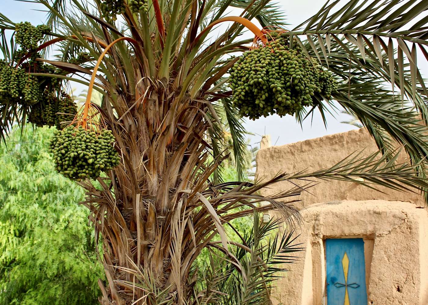 Visit Skoura, Morocco | Tailor-made Trips | Audley Travel UK