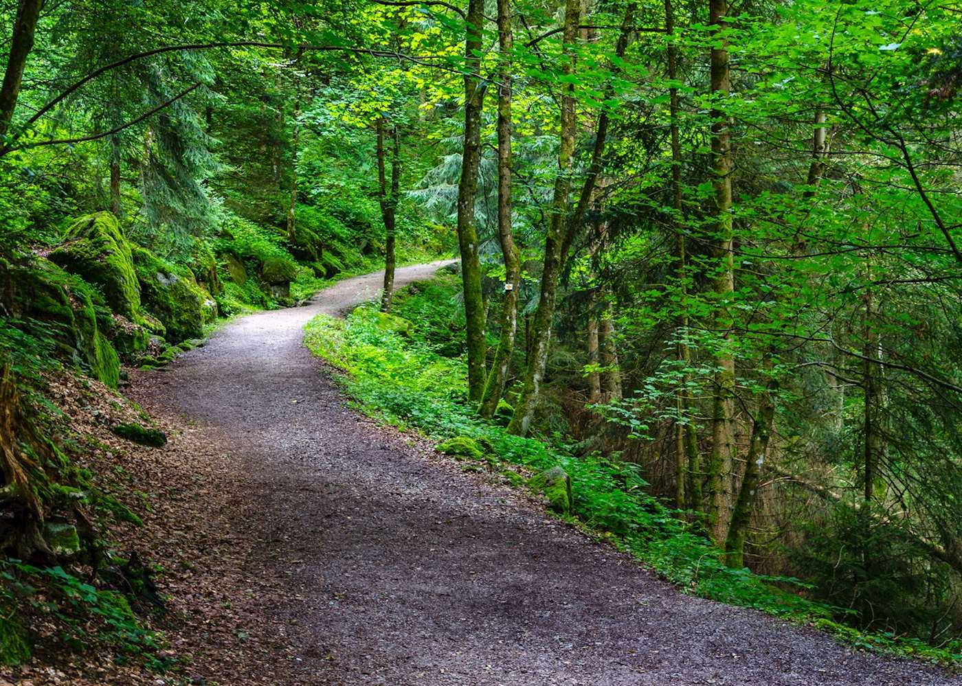 Black Forest in depth | Audley Travel US
