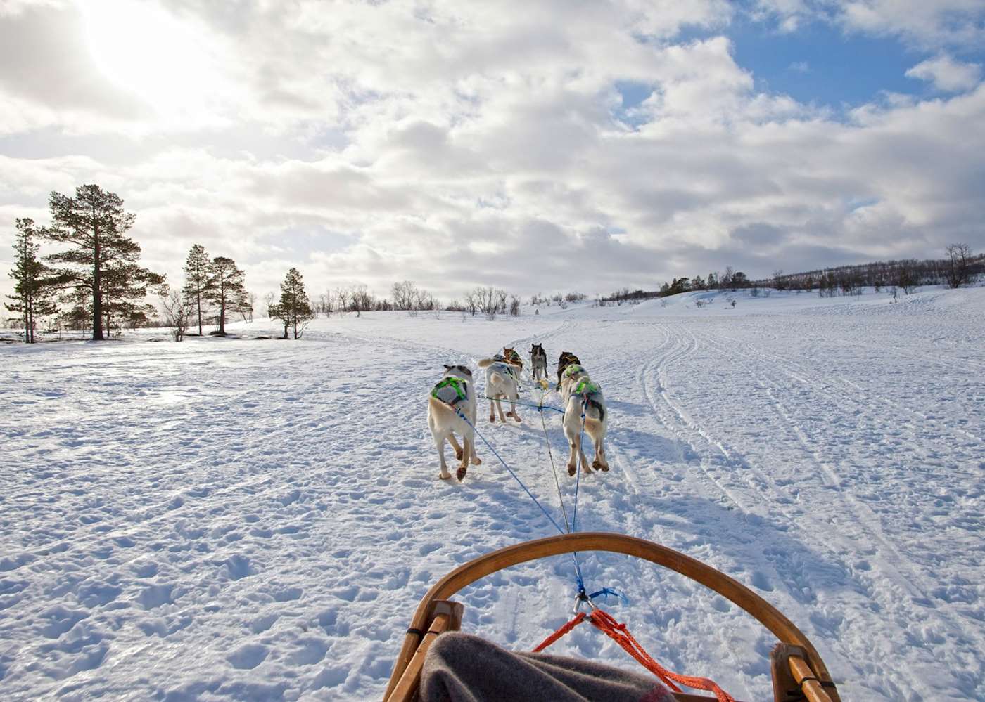Husky sledding | Audley Travel US