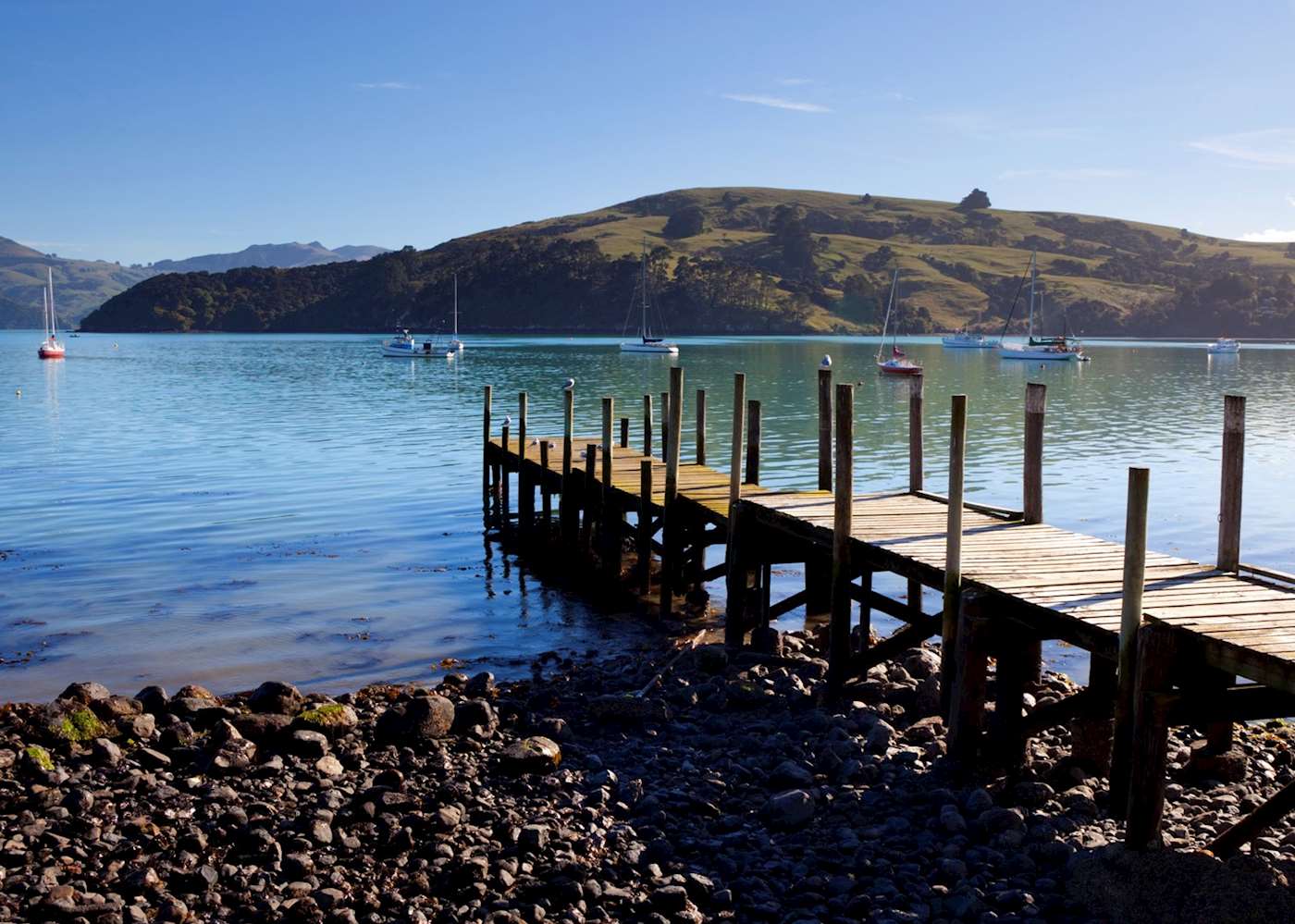Visit Akaroa & Banks Peninsula | Audley Travel UK