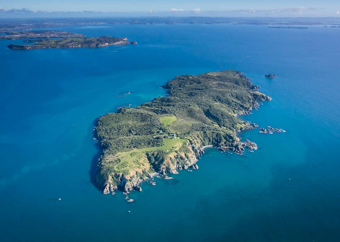 Tiritiri Matangi bird sanctuary | Audley Travel US