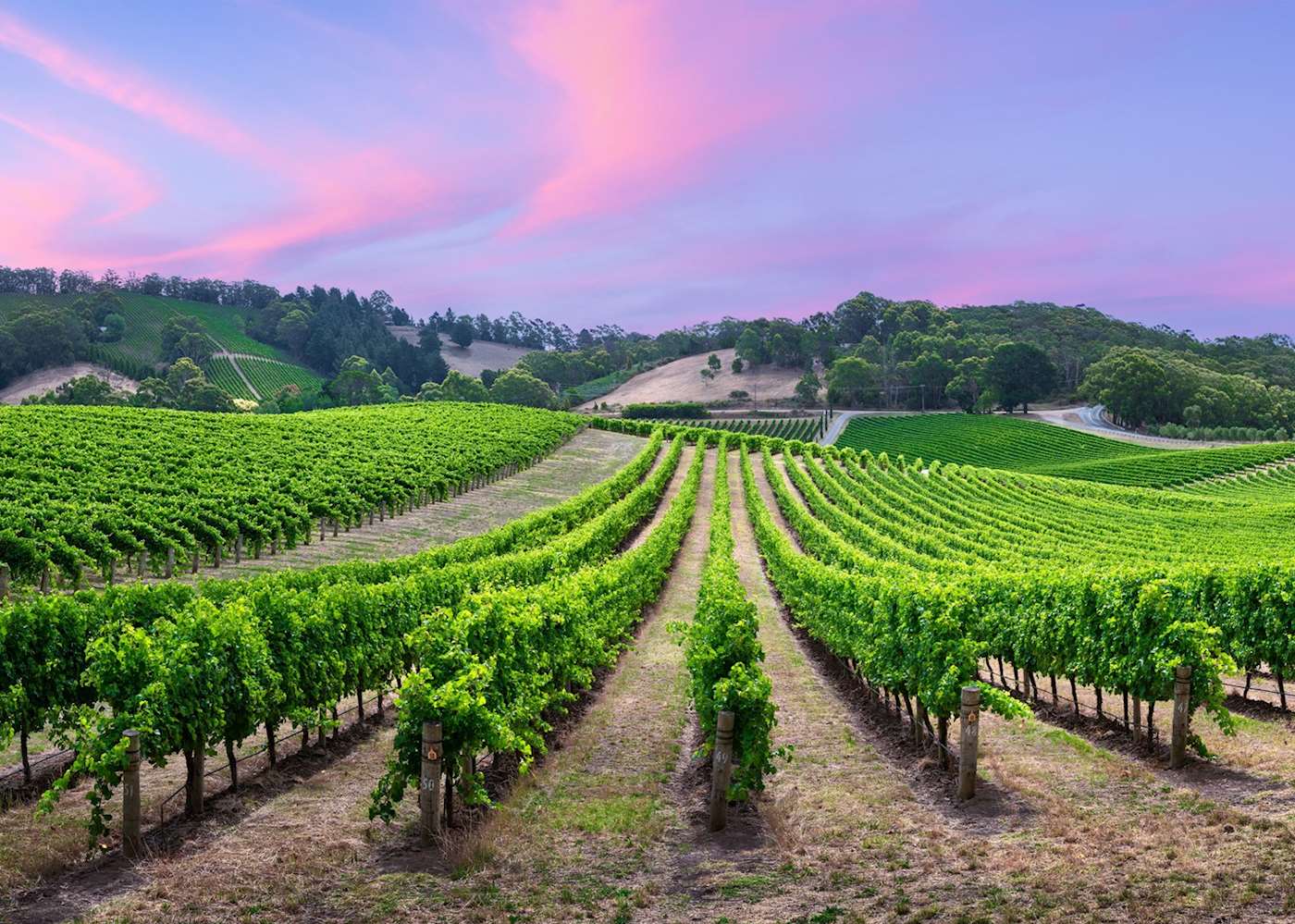 Visit Adelaide, Australia Default Theme | Audley Travel US