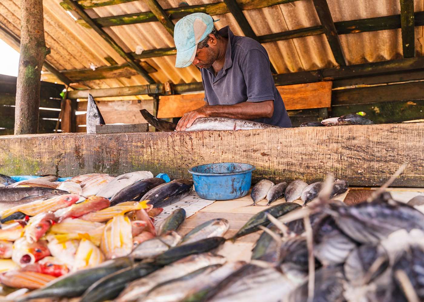 Visit Bentota, Sri Lanka Default Theme | Audley Travel UK