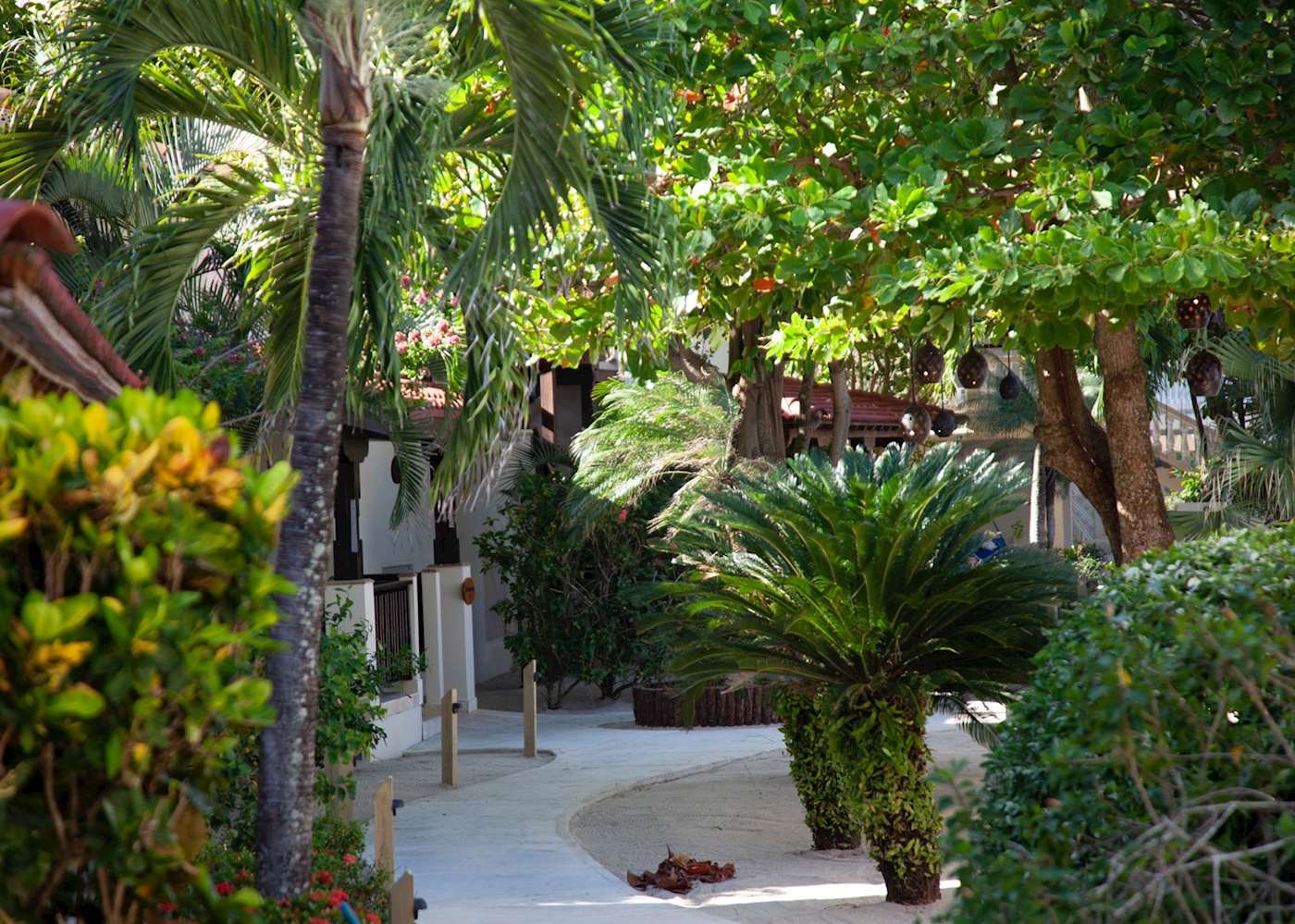 Almond Beach at Jaguar Reef | Audley Travel UK