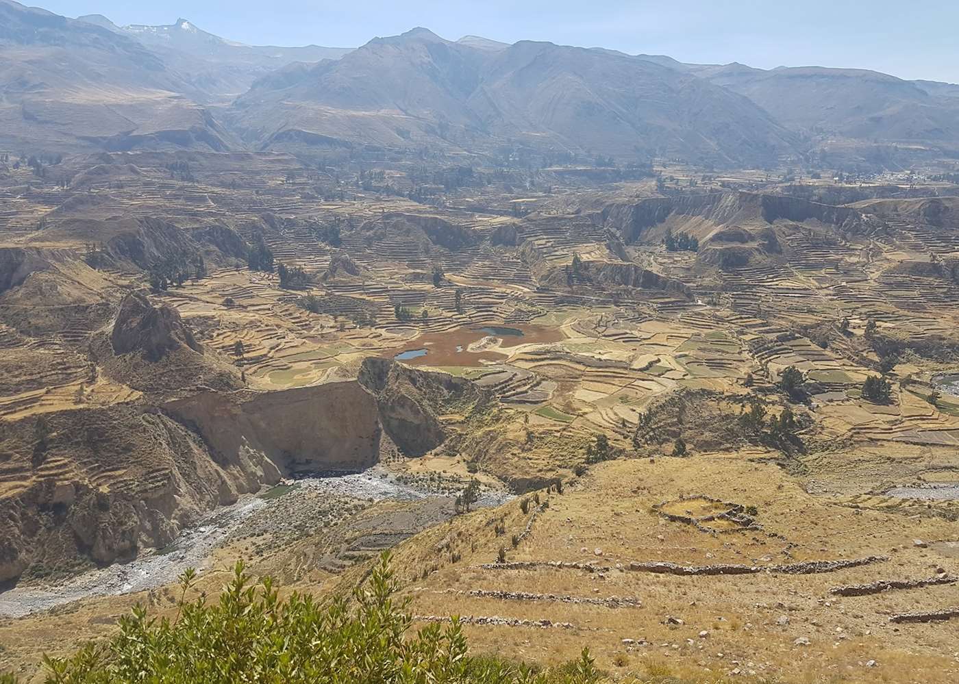 Visit Colca Canyon on a trip to Peru | Audley Travel US