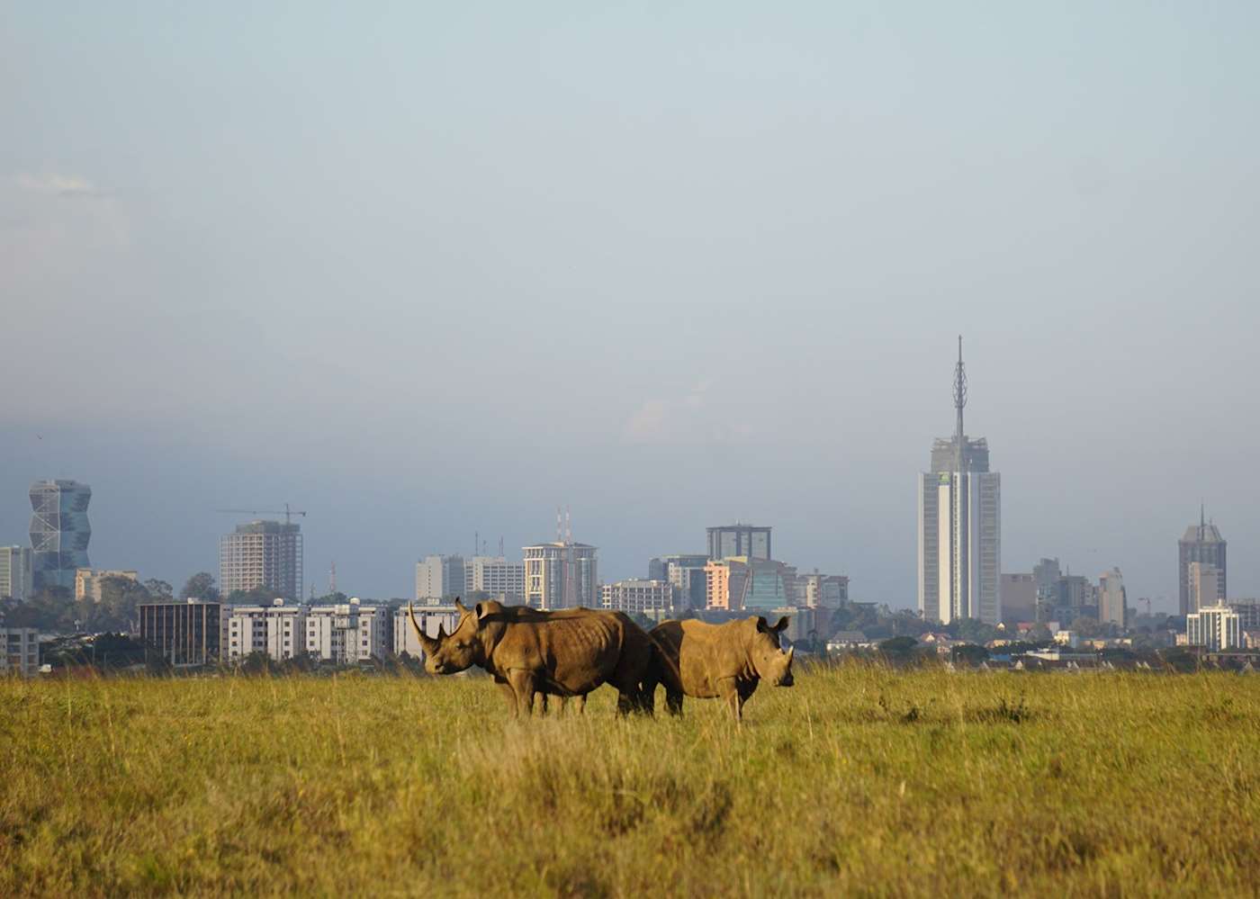 Visit Nairobi, Kenya | Tailor-made Nairobi Trips | Audley Travel UK