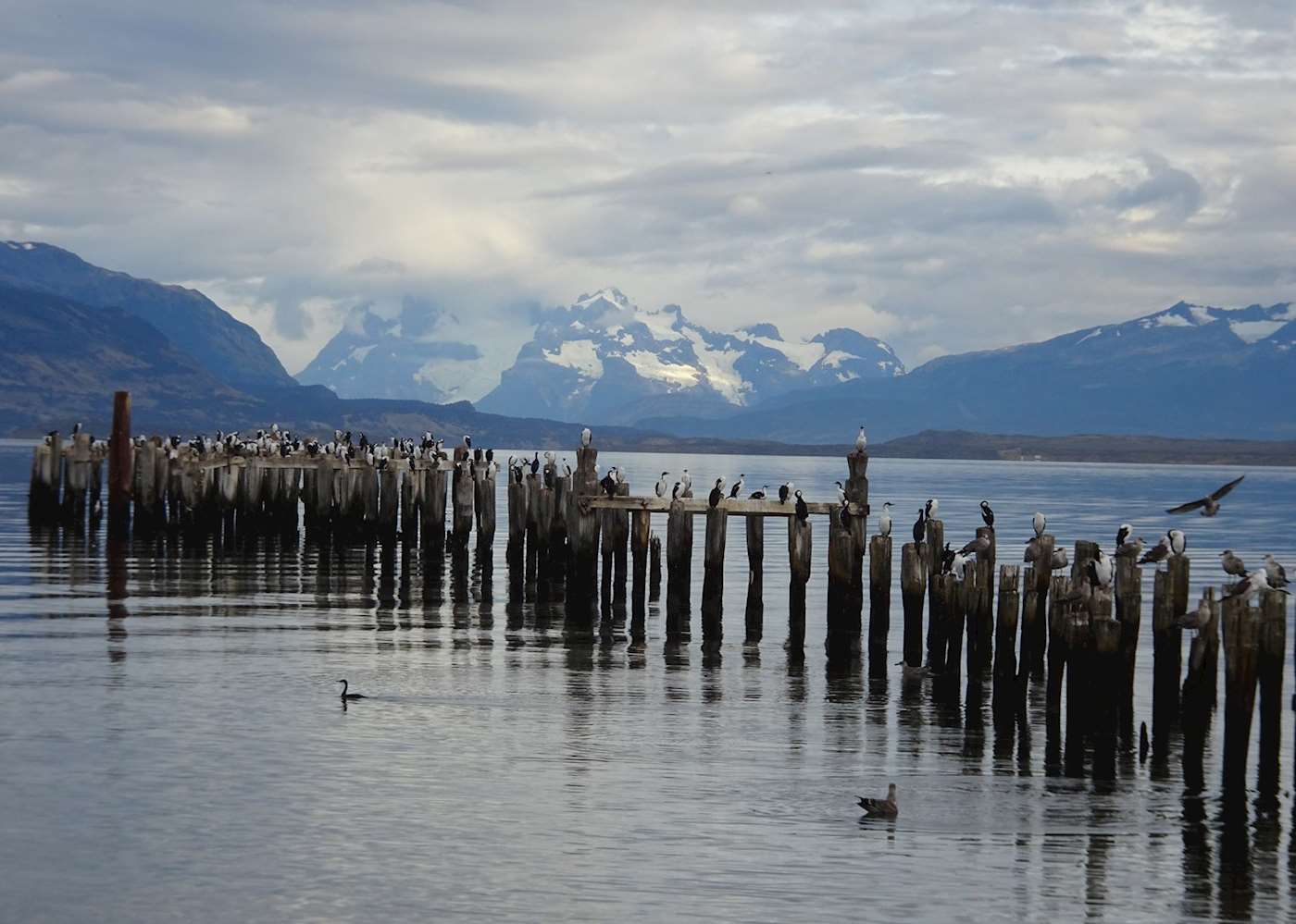 Visit Puerto Natales on a trip to Chile | Audley Travel US
