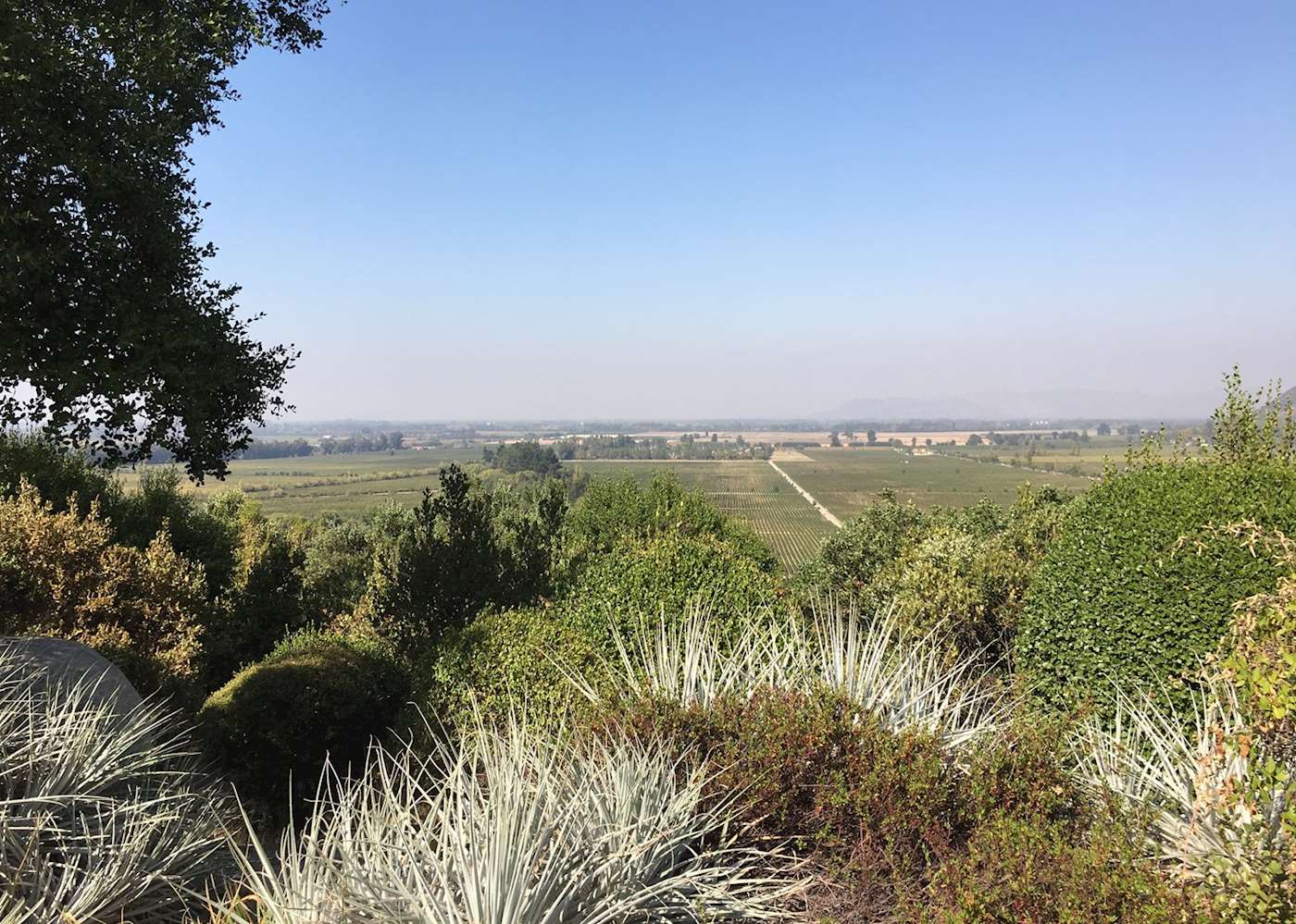 Visit Colchagua Valley on a trip to Chile | Audley Travel US