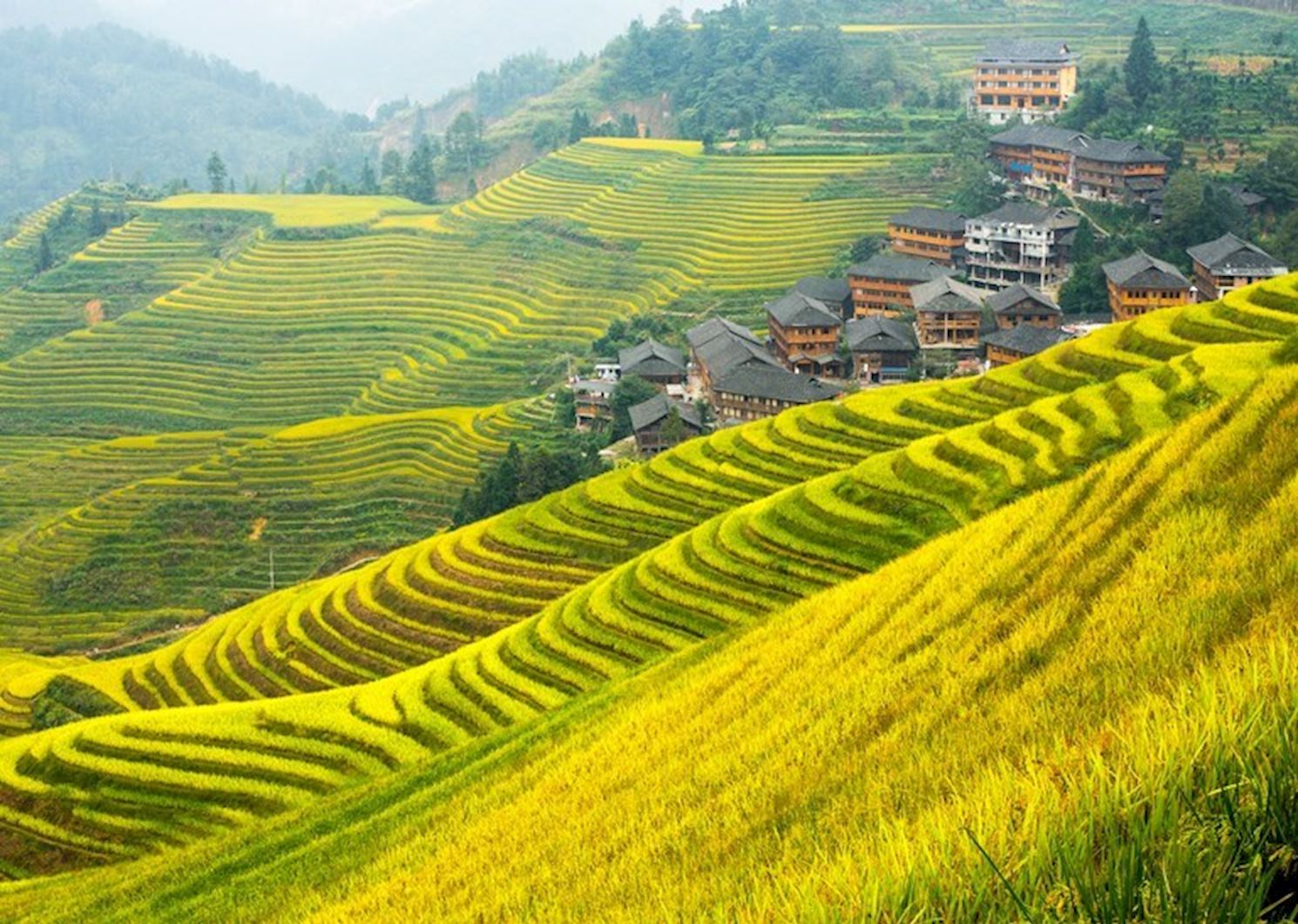 Visit Longji on a trip to China Default Theme | Audley Travel CA