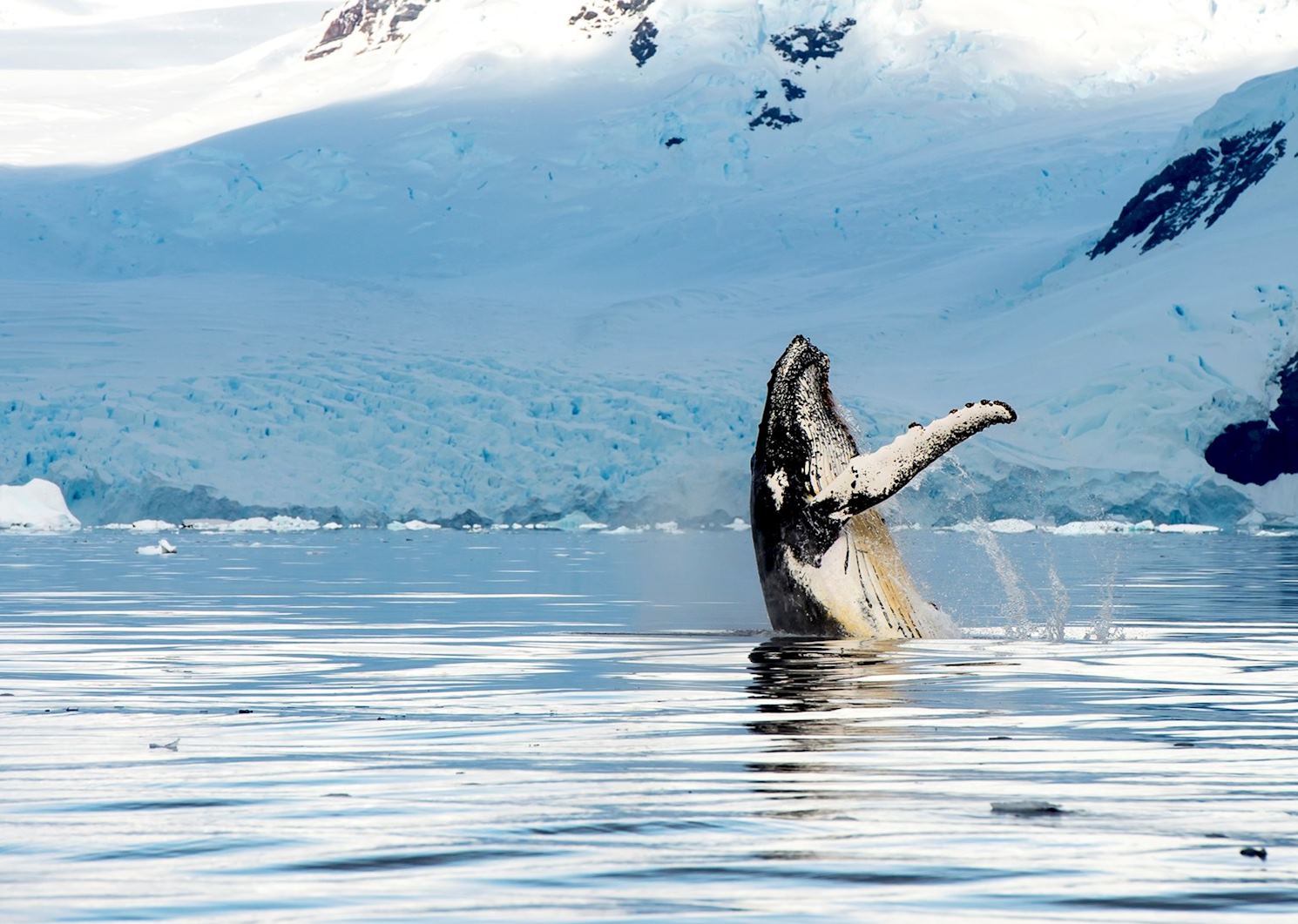 Visit Gustavus on a trip to Alaska | Audley Travel UK