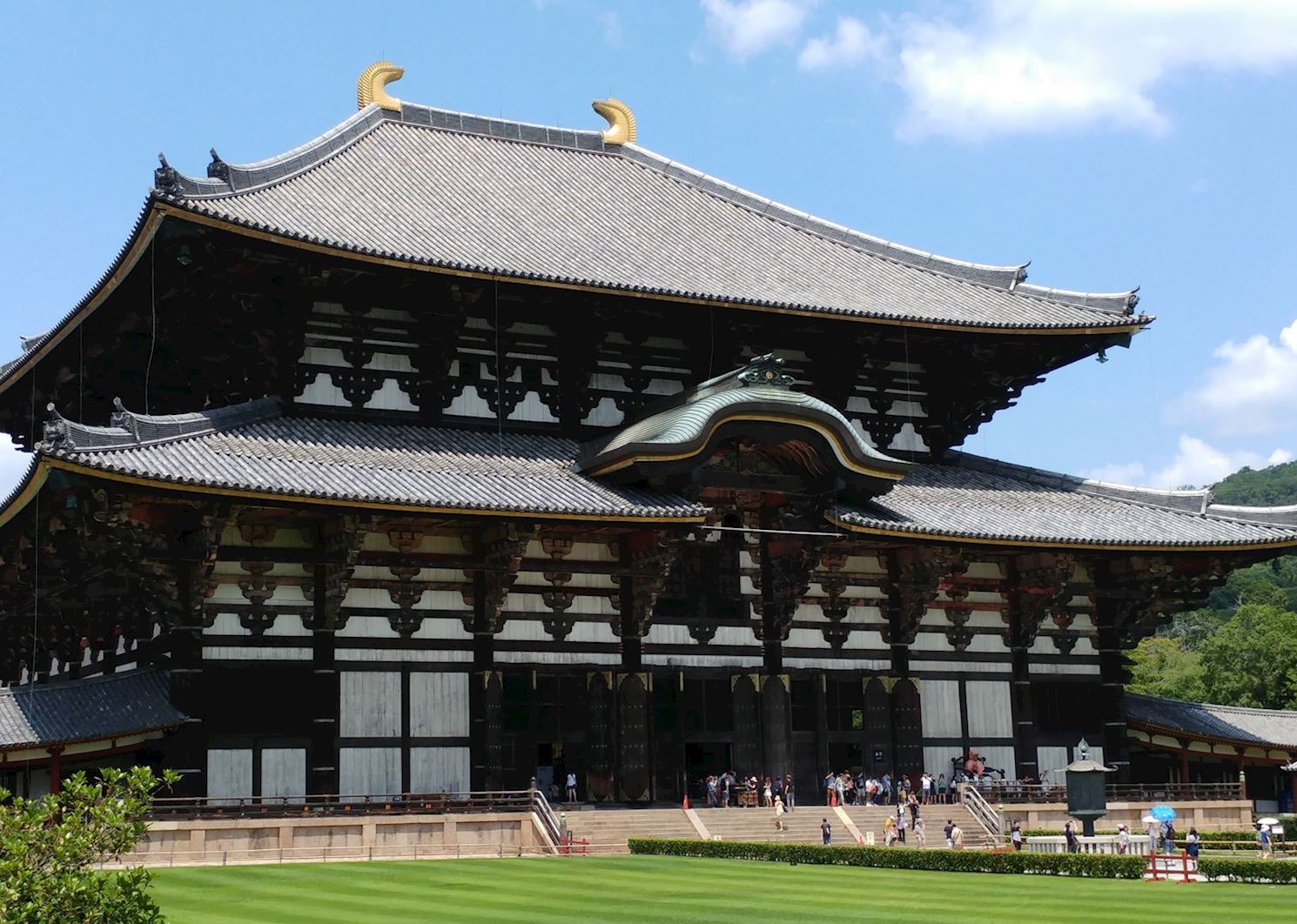 Visit Nara on a trip to Japan | Audley Travel US
