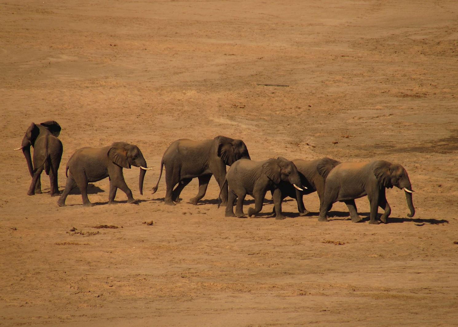 Visit Gonarezhou National Park, Zimbabwe | Audley Travel UK