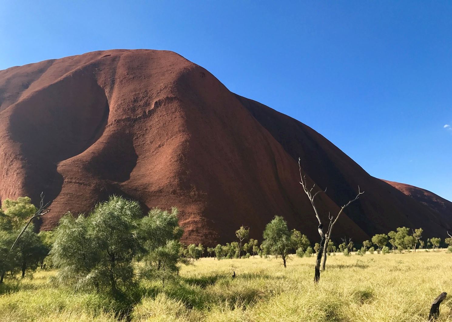 Uluru-Kata Tjuta National Park, Australia | Audley Travel UK