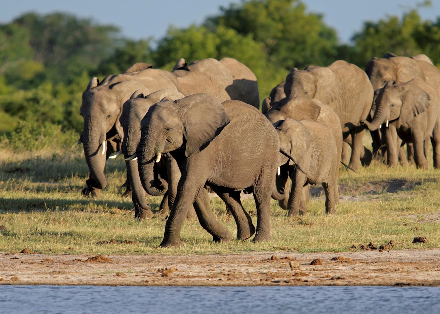 Visit Hwange National Park in Zimbabwe | Audley Travel UK