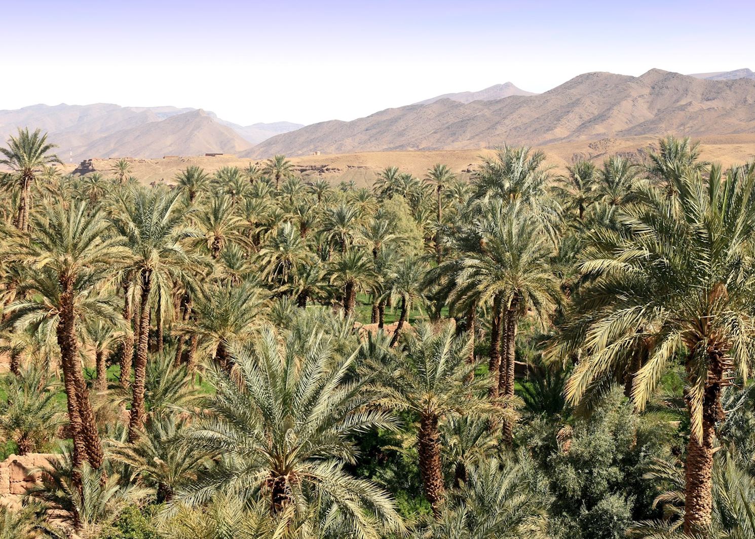 Visit Skoura, Morocco | Tailor-made Vacations | Audley Travel US