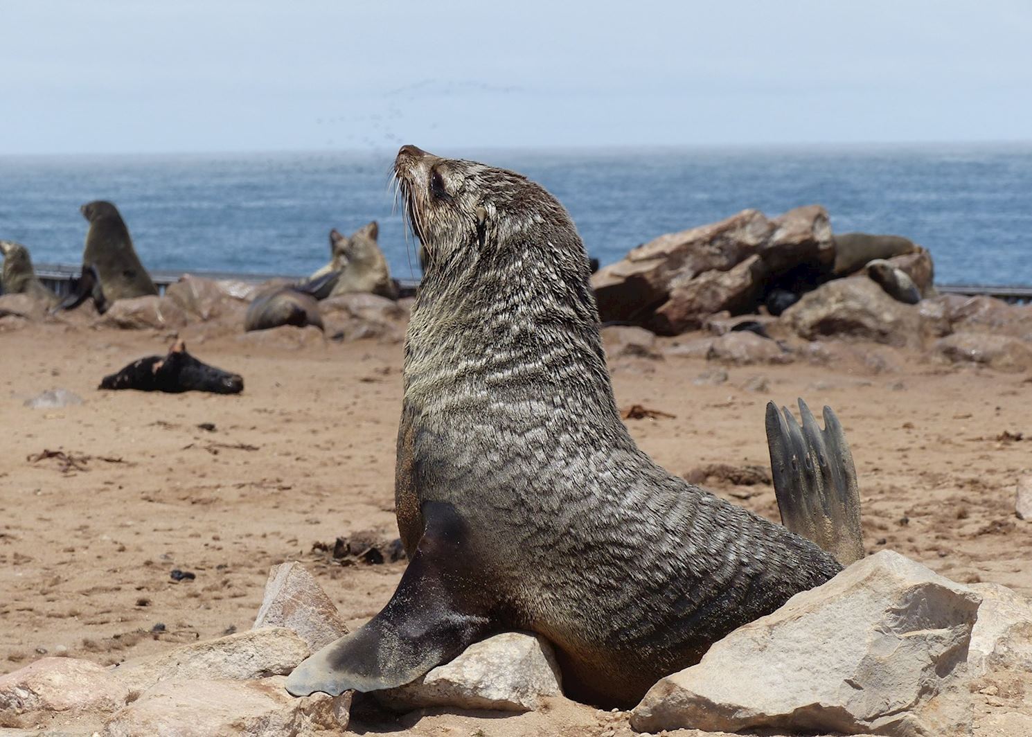The Skeleton Coast, Namibia | Tailor-made Vacations | Audley Travel CA