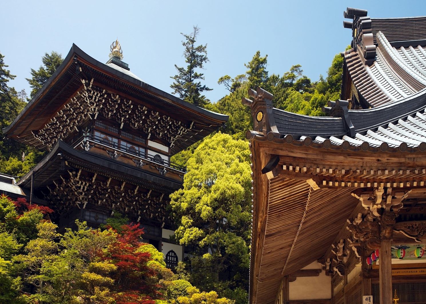 Visit Miyajima Island on a trip to Japan | Audley Travel UK