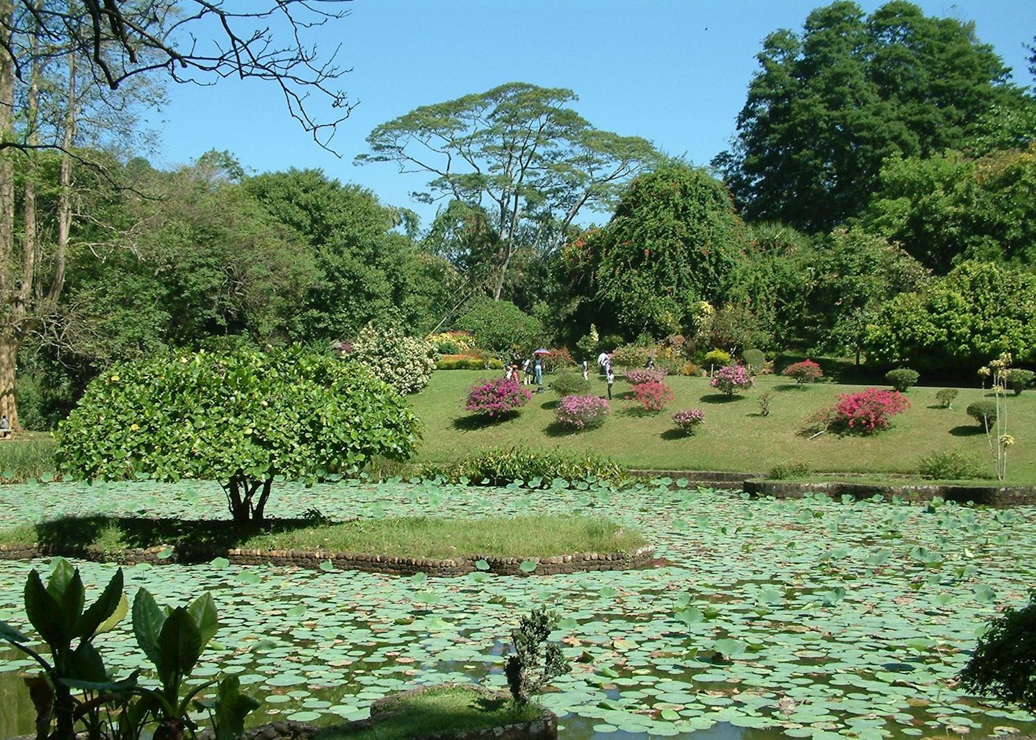 Visit Kandy on a trip to Sri Lanka | Audley Travel UK