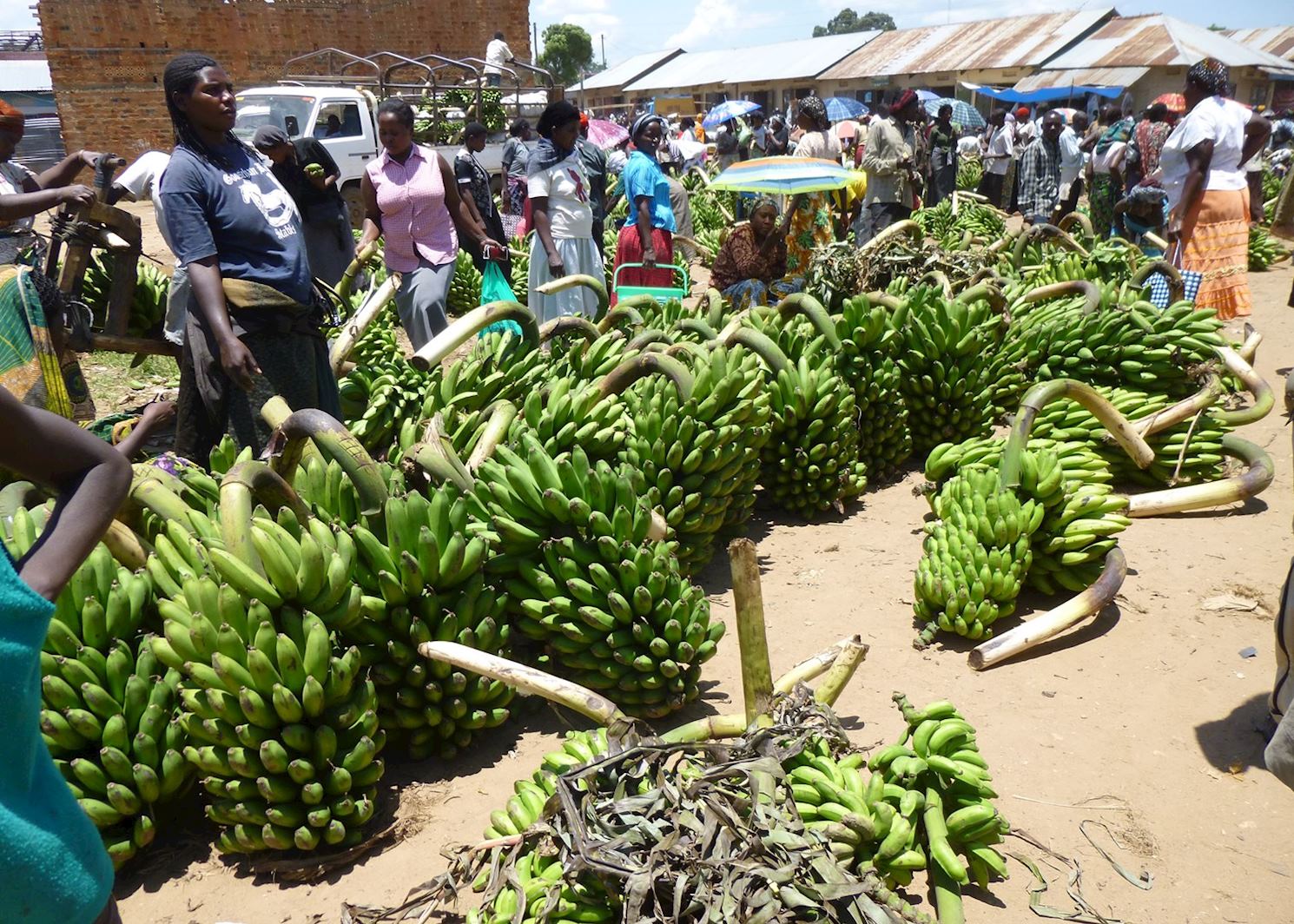 Visit Entebbe on a trip to Uganda | Audley Travel UK