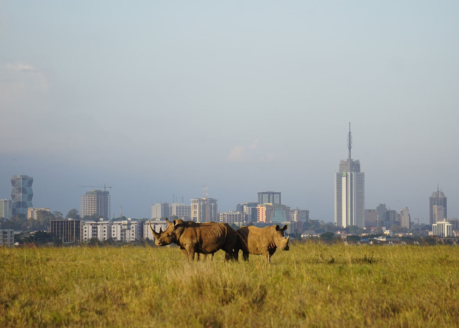 Visit Nairobi, Kenya | Tailor-made Nairobi Trips | Audley Travel UK