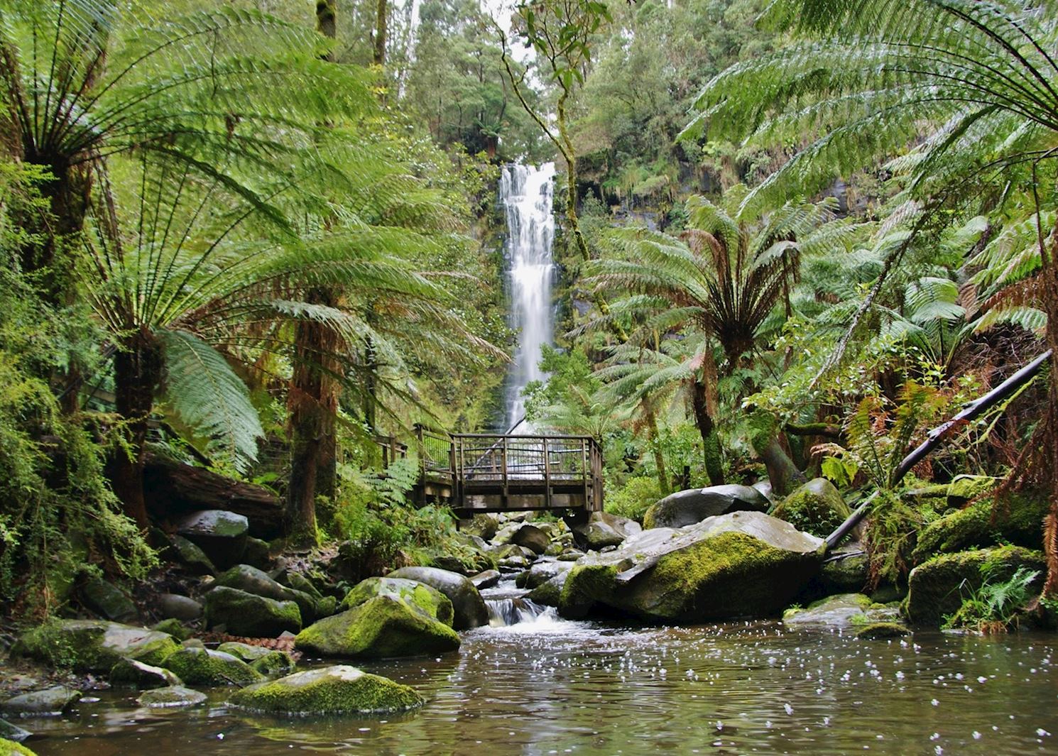Visit Apollo Bay on a trip to Australia | Audley Travel UK