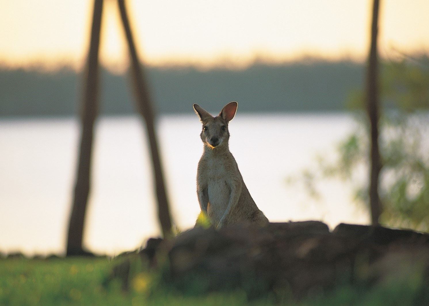 Visit Cobourg Peninsula on a trip to Australia | Audley Travel UK