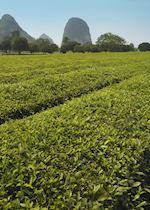 Magnificent China | Audley Travel