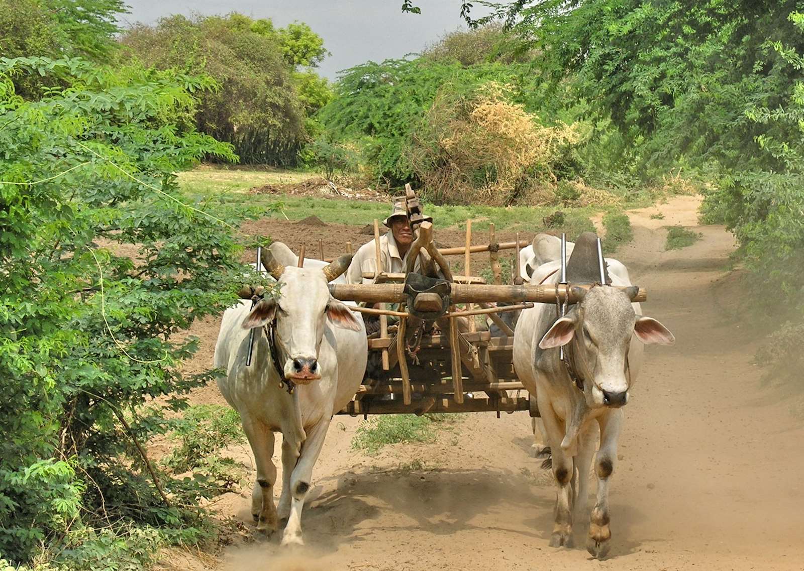 The Ayeyarwady & Myeik Archipelago | Audley Travel UK