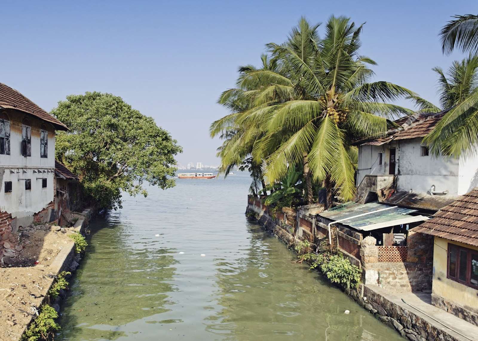 Classic Kerala tour: culture, tea, wildlife & backwaters | Audley Travel UK