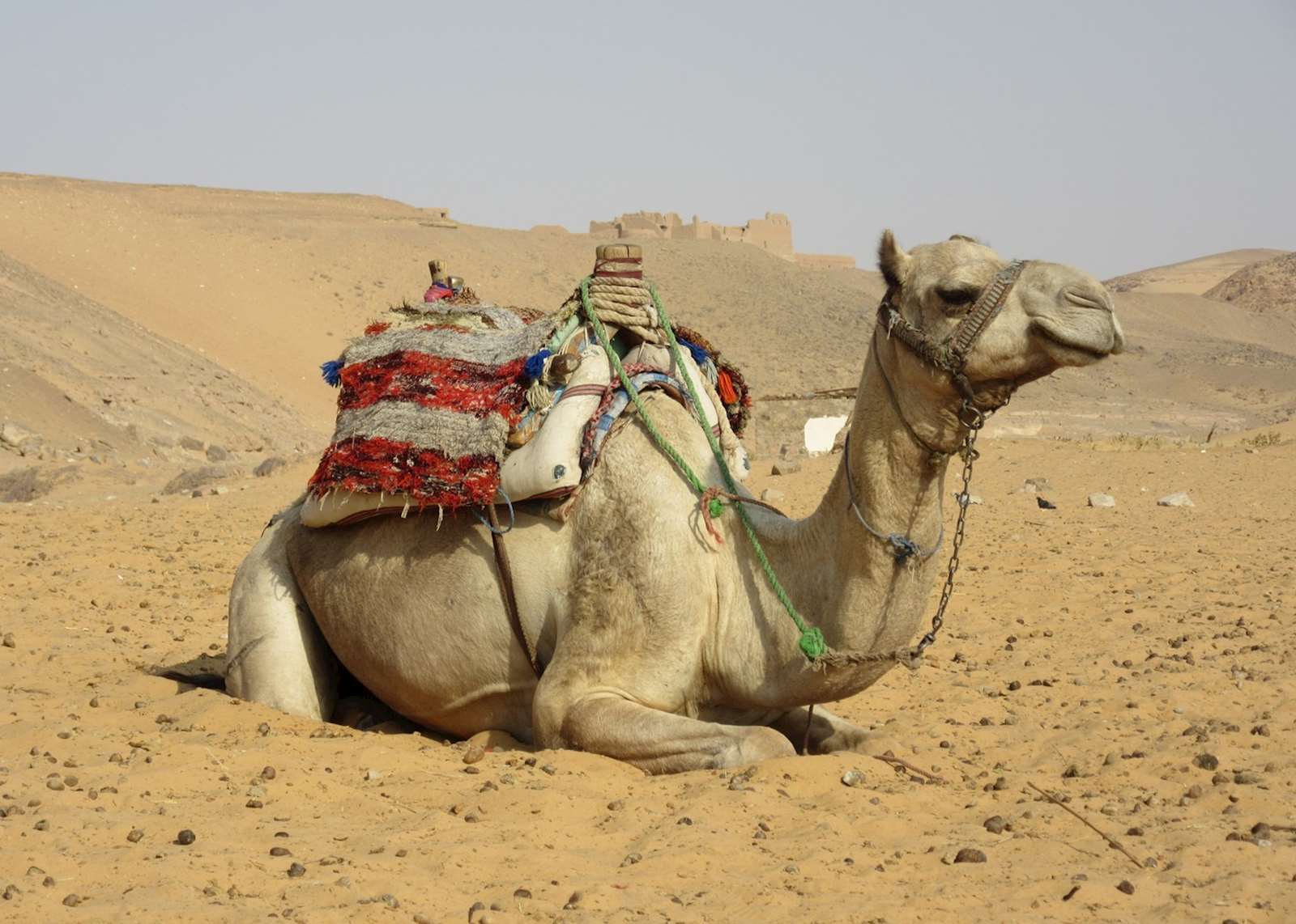 Classic Oman Tour | Itinerary Highlights | Audley Travel UK