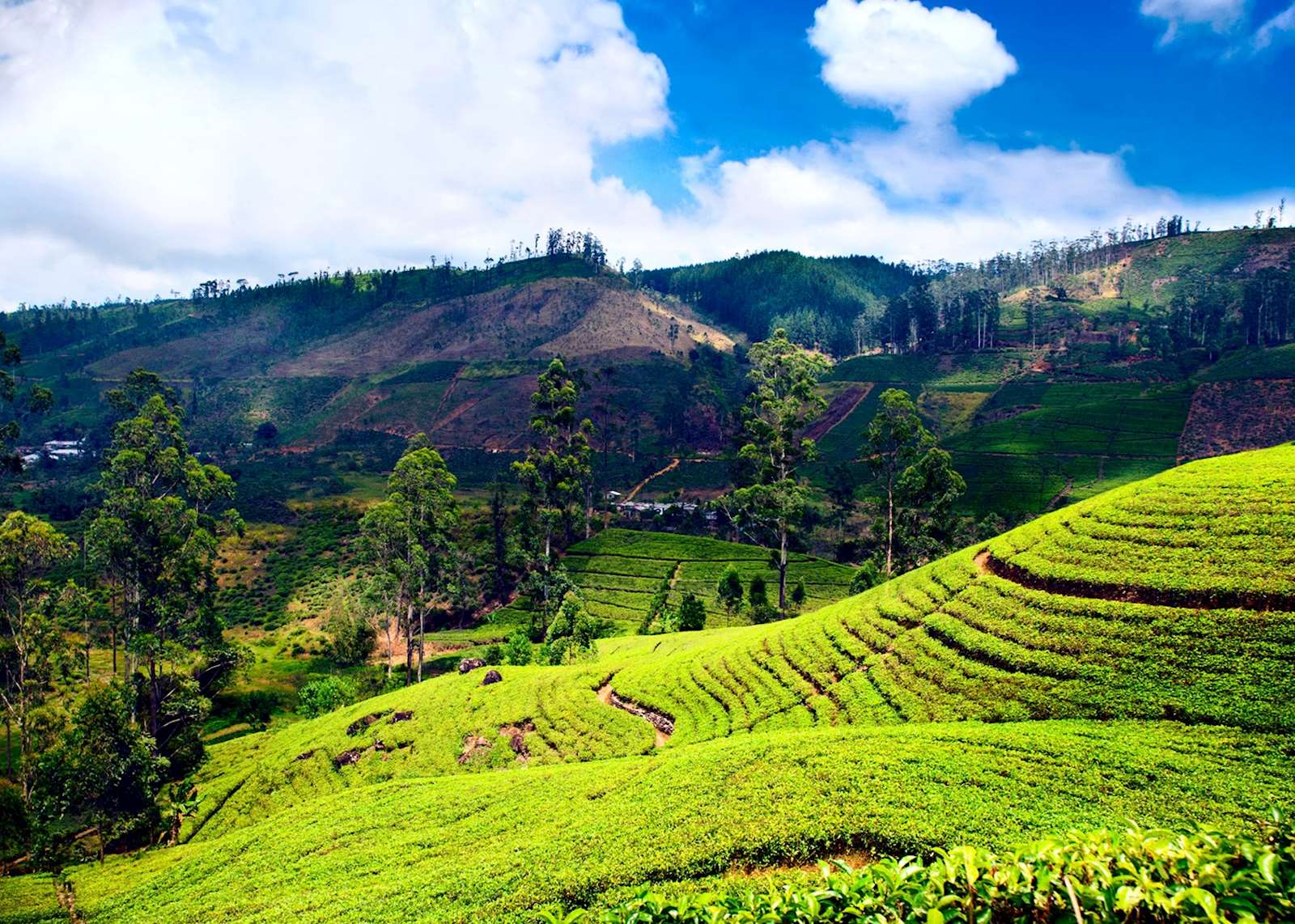 Highlights of Sri Lanka | Audley Travel UK