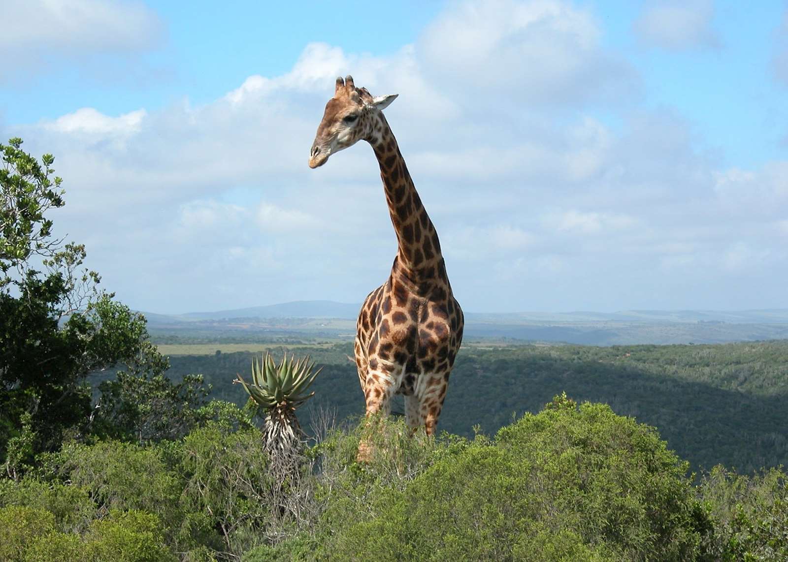 Discover South Africa | Audley Travel US