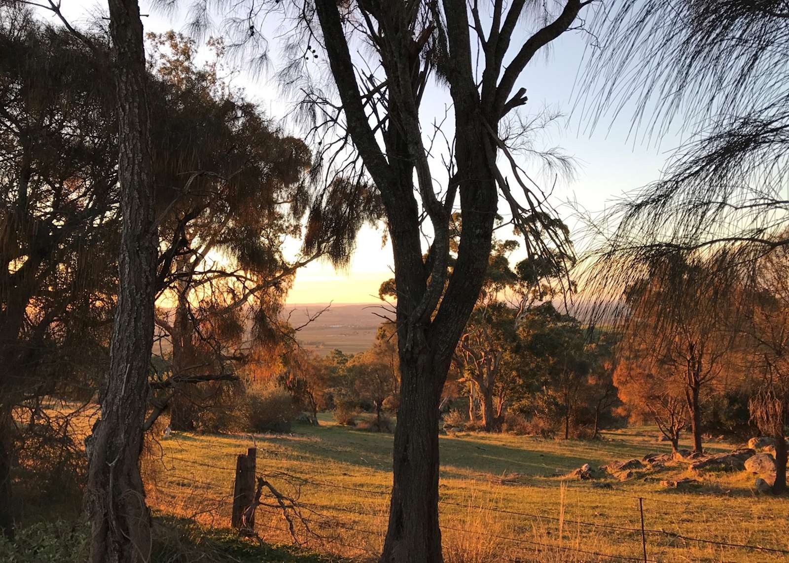 South Australia's wine, wildlife & Outback self-drive | Audley Travel US