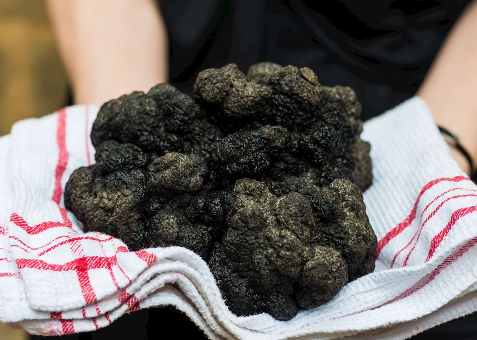 Things to do in Provence: our travel guide | Audley Travel UK