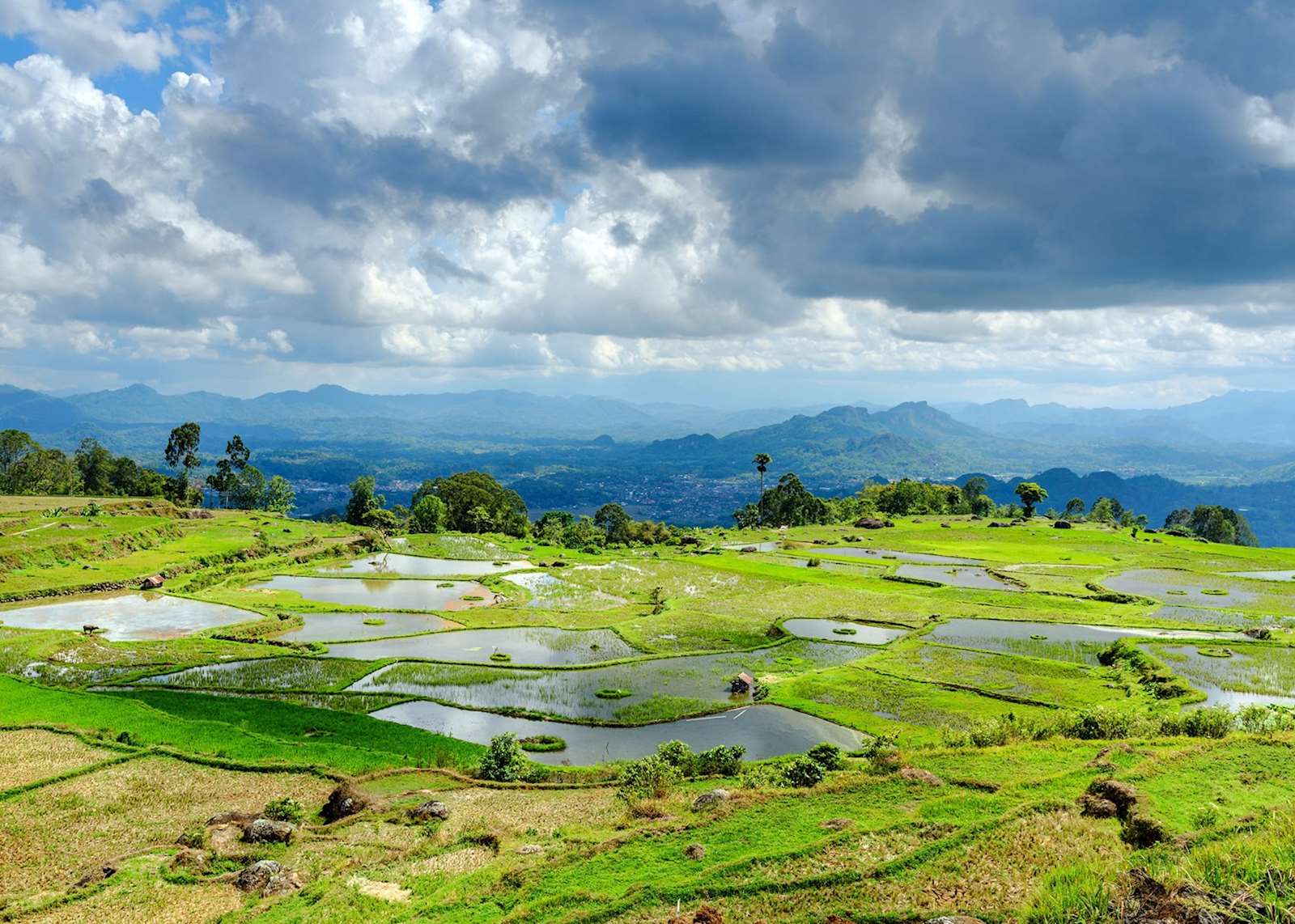 Sulawesi in Indonesia | Travel guide | Audley Travel UK