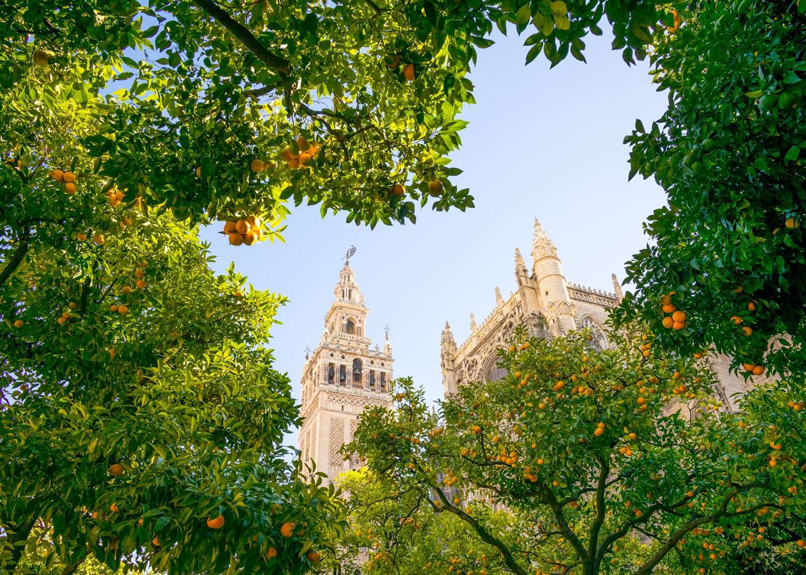 Culinary Tour of Seville & San Sebastián | Audley Travel US
