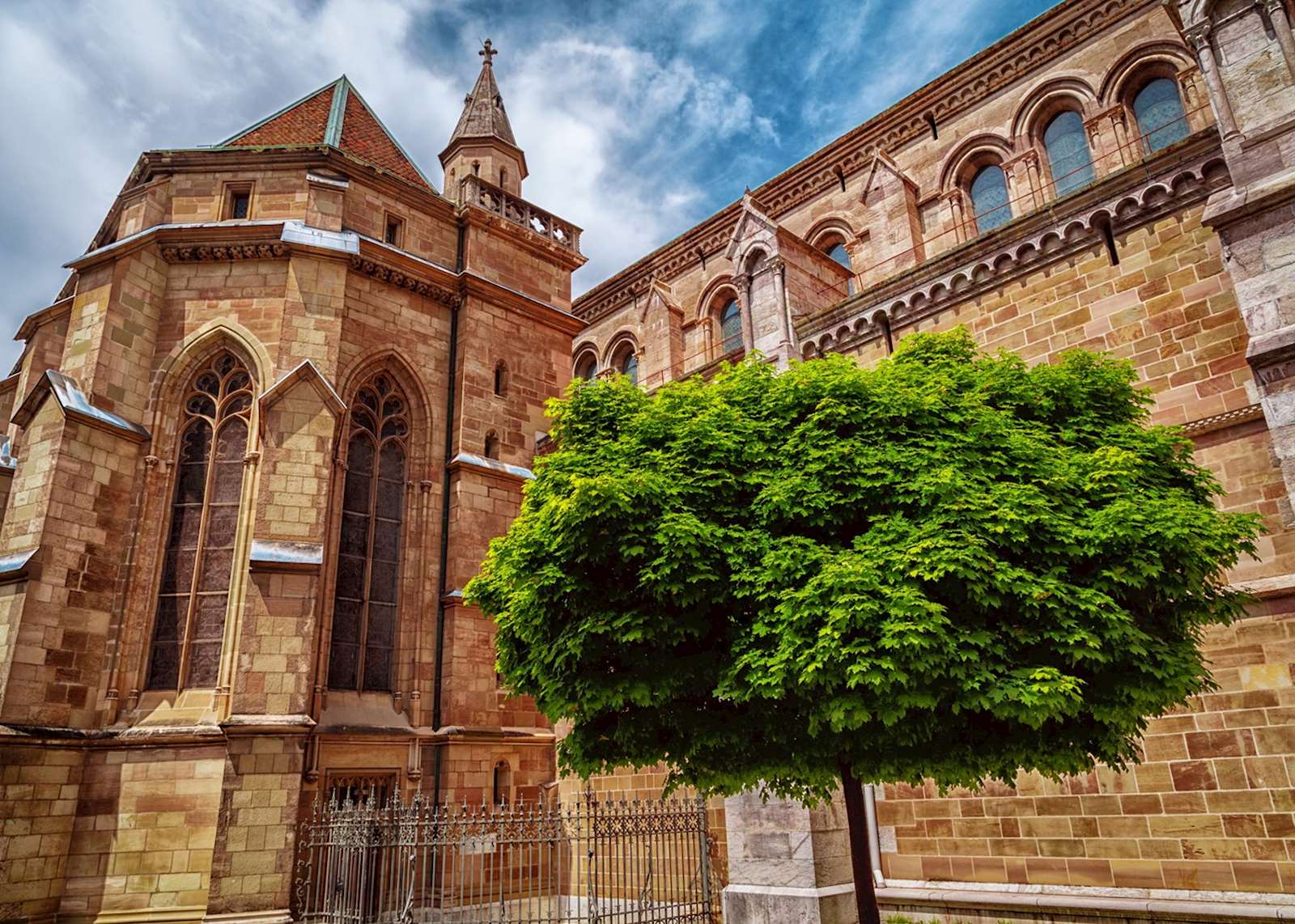 Cruising the Rhine: vineyards & villages | Audley Travel US